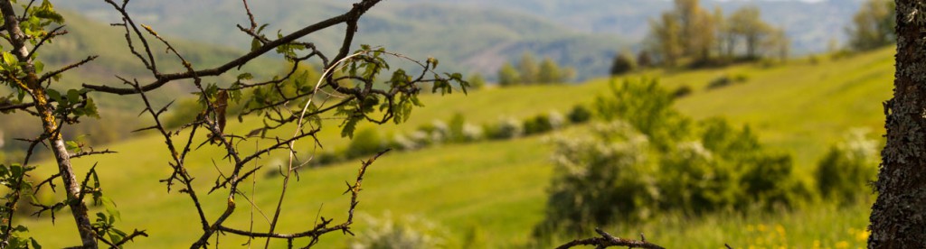 Borgotaro & dintorni – Proloco Borgotaro